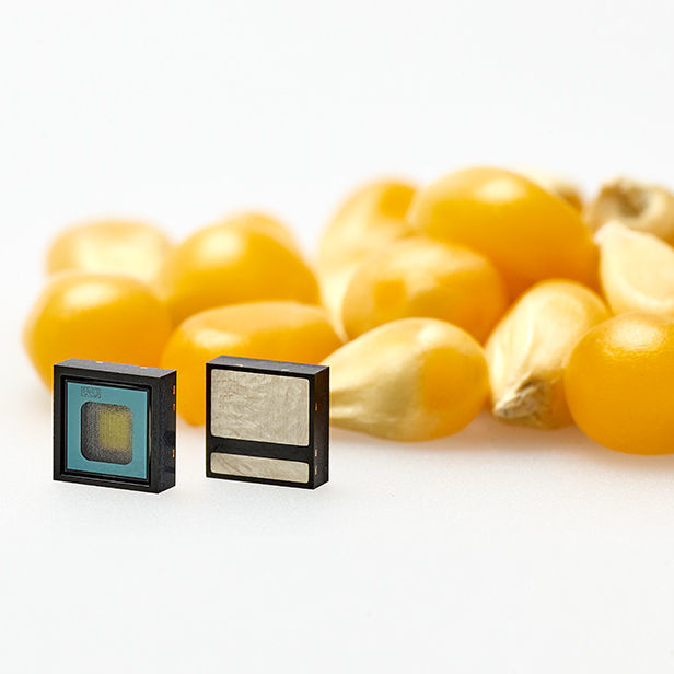 Pulsed illuminator - TARA2000-AUT - AMS - NIR / red / compact