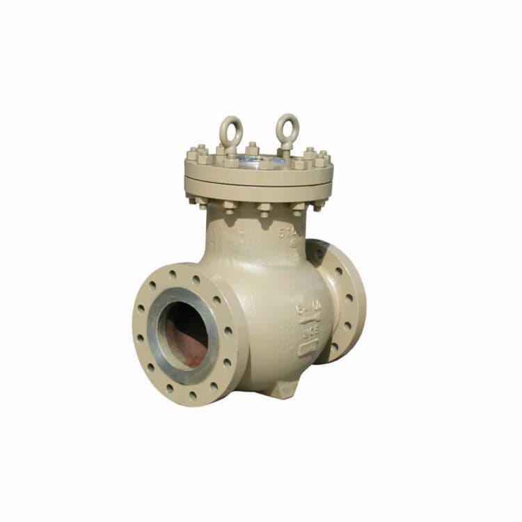 Piston check valve - Celeros - backflow / seat / silent