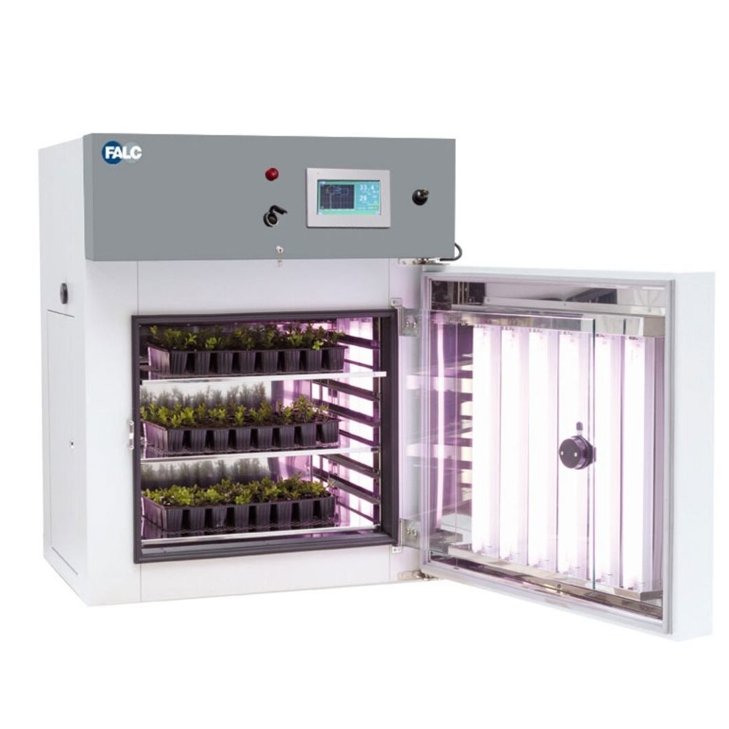 Plant growth chamber - GVD-H 350 - FALC Instruments S.r.l. - insect