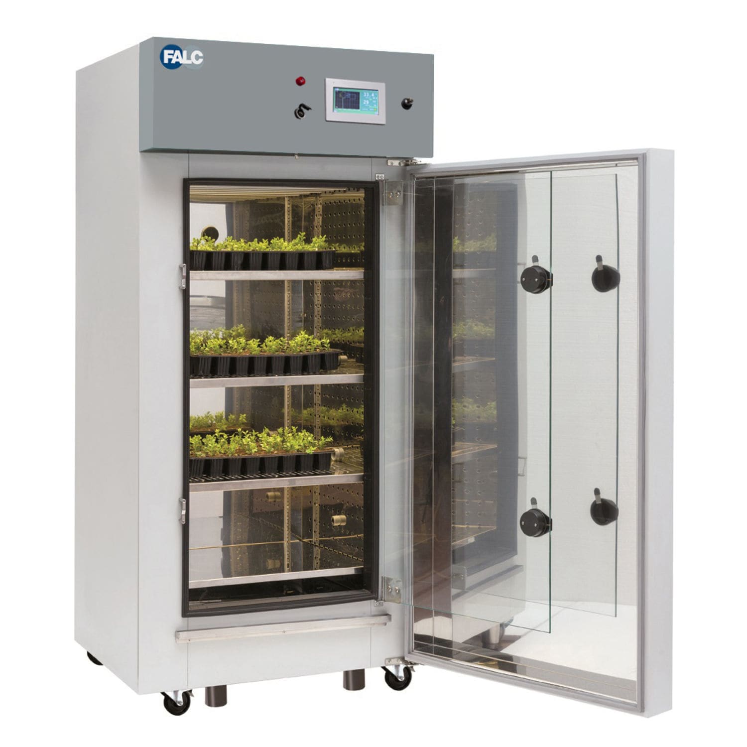 Plant growth chamber - GHS 550 - FALC Instruments S.r.l. - insect