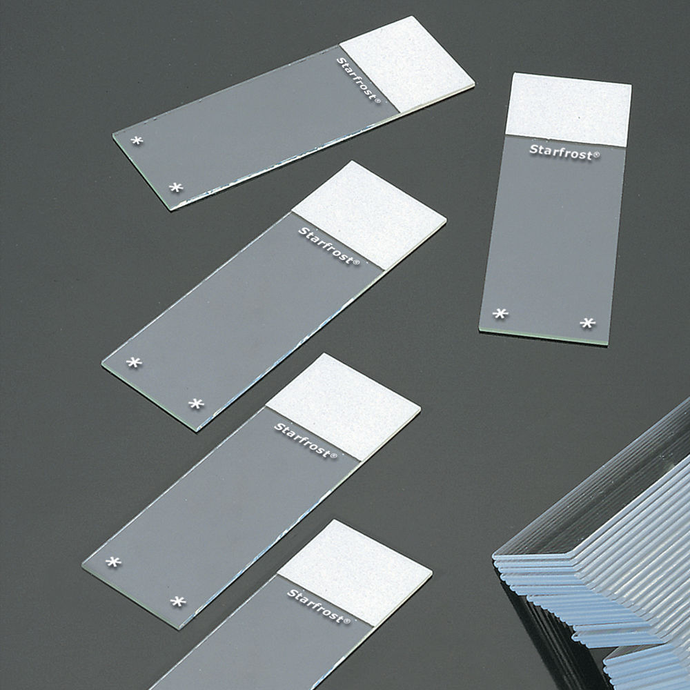 Microscope slide - A1000 series - DELTALAB, S.L.U.