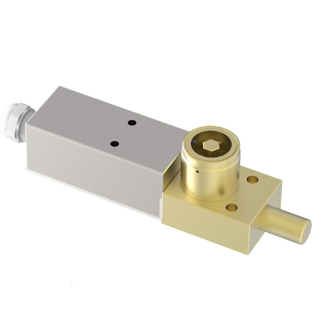 Bolt lock - DBC11 - Arel Trapped Key Interlocks - key / for electrical ...