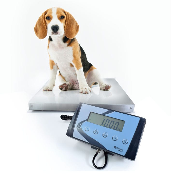Platform scale - AIS / AIS-W - GIROPES - with LCD display / with ...