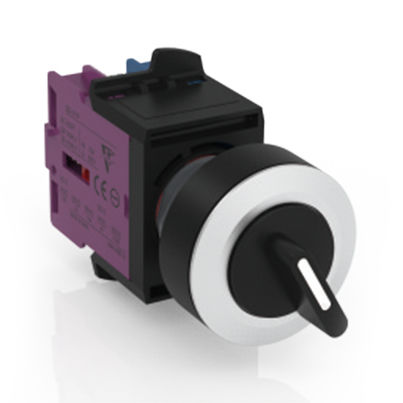 Key lock switch - SD30 series - Wenzhou Jinhong Electrical Appliance ...