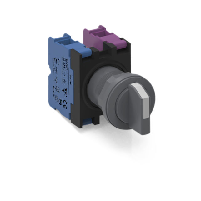 Key lock switch - SF22 series - Wenzhou Jinhong Electrical Appliance ...