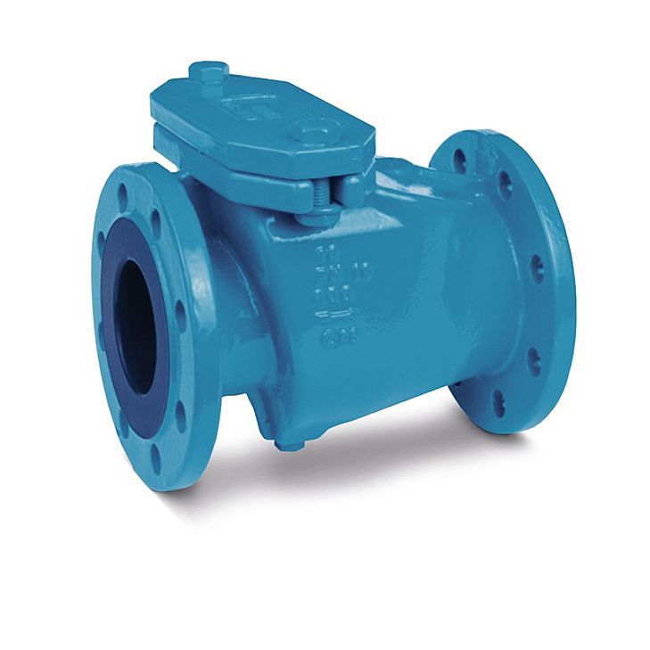 Disc check valve - RFSE - ERHARD - flange / silent