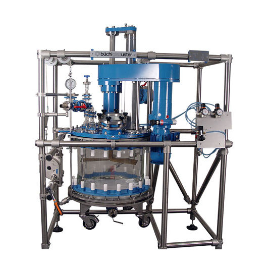 Vacuum filter - SPPS - Buchiglas (Büchi AG) -Pilot Plant & Reactor ...