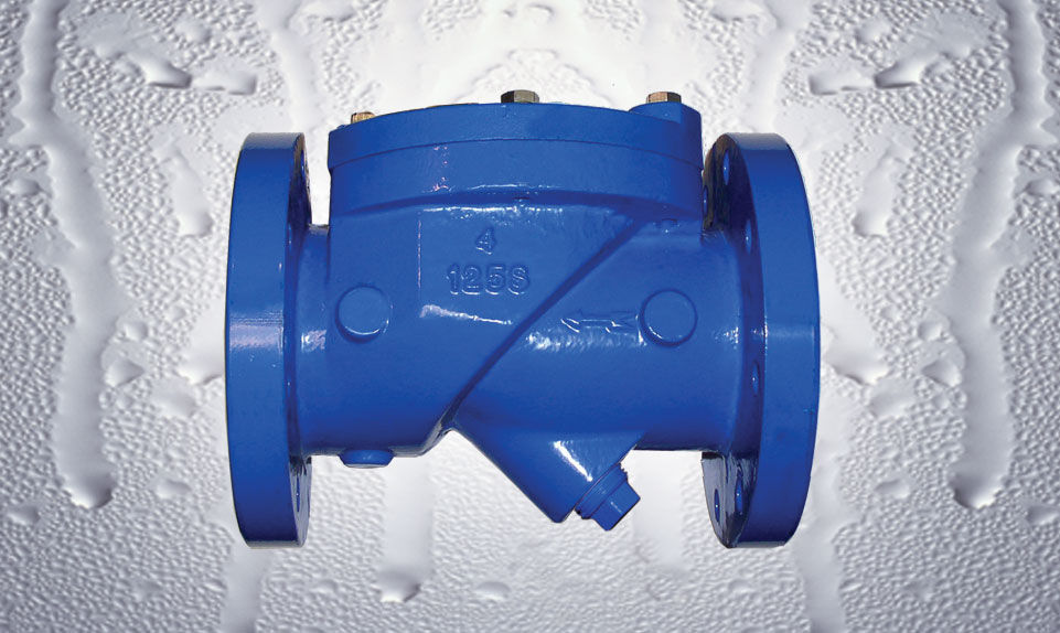 Swing check valve - 745 series - Flomatic - flange / cast iron
