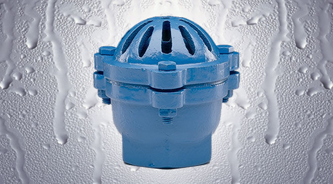 Threaded check valve - 357 - Flomatic - cast iron / with strainer