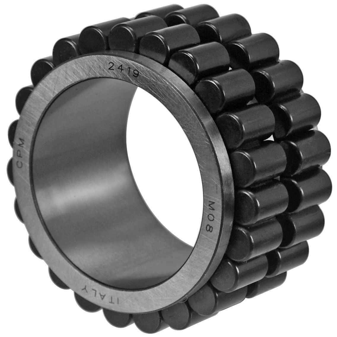 Cylindrical roller bearing - CPM 2419 - CPM S.p.A. - double-row / steel