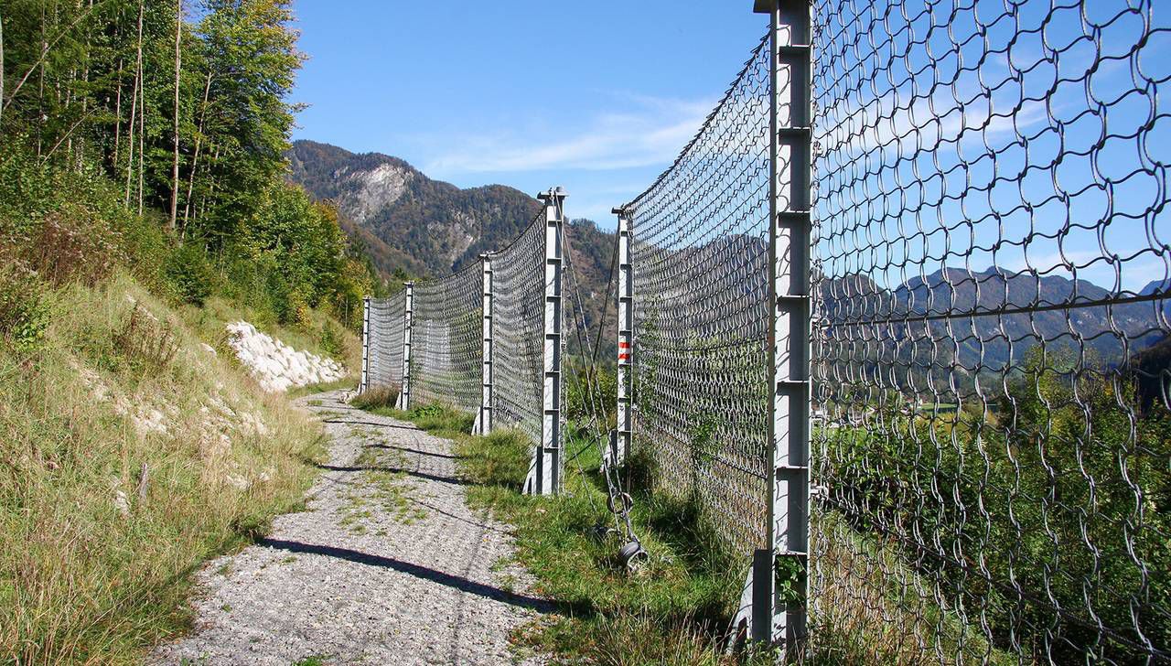 Wire mesh fence - Omega-Net - RUD
