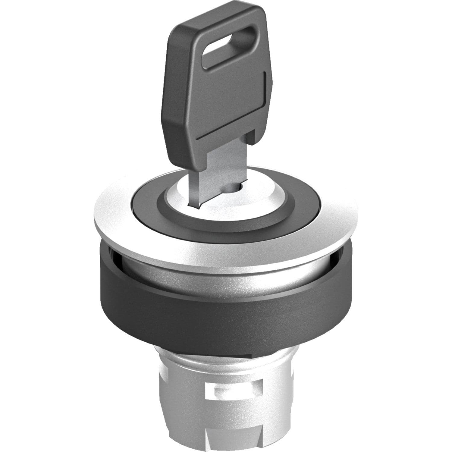 Key lock switch - RONTRON-R-JUWEL RRJSSA12 - Georg Schlegel GmbH & Co ...