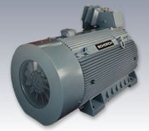 Asynchronous motor - Schorch - AC / 60 V / explosion-proof