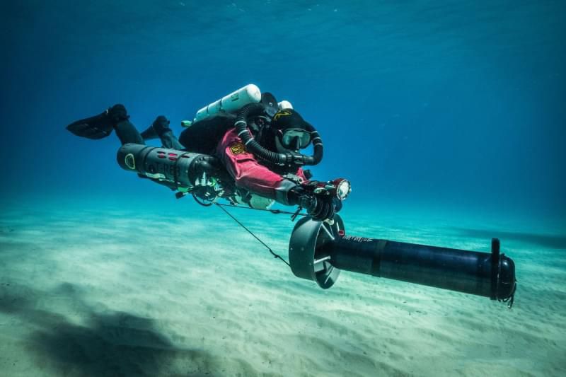 Waterproof professional diving suit - TNT Pro - SF Tech SARL - titanium ...