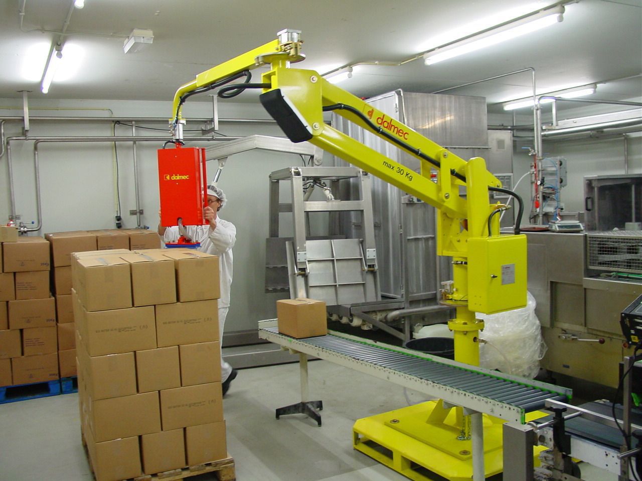 Pneumatic manipulator - DALMEC - electric / with suction cup / carton