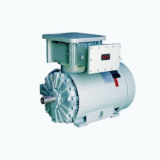 Asynchronous motor - CG Power Systems - AC / two-phase / 6000 V