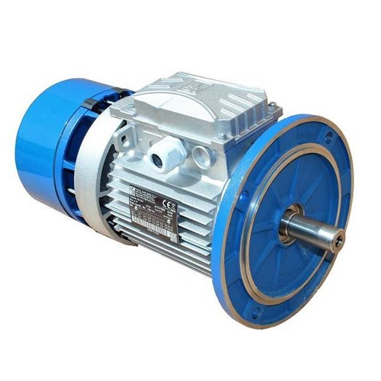 Three-phase motor - R Series - M.G.M. Motori Elettrici S.p.A ...