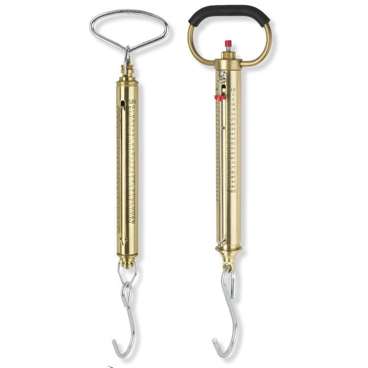 Precision linear scale - In series - AMETEK Test