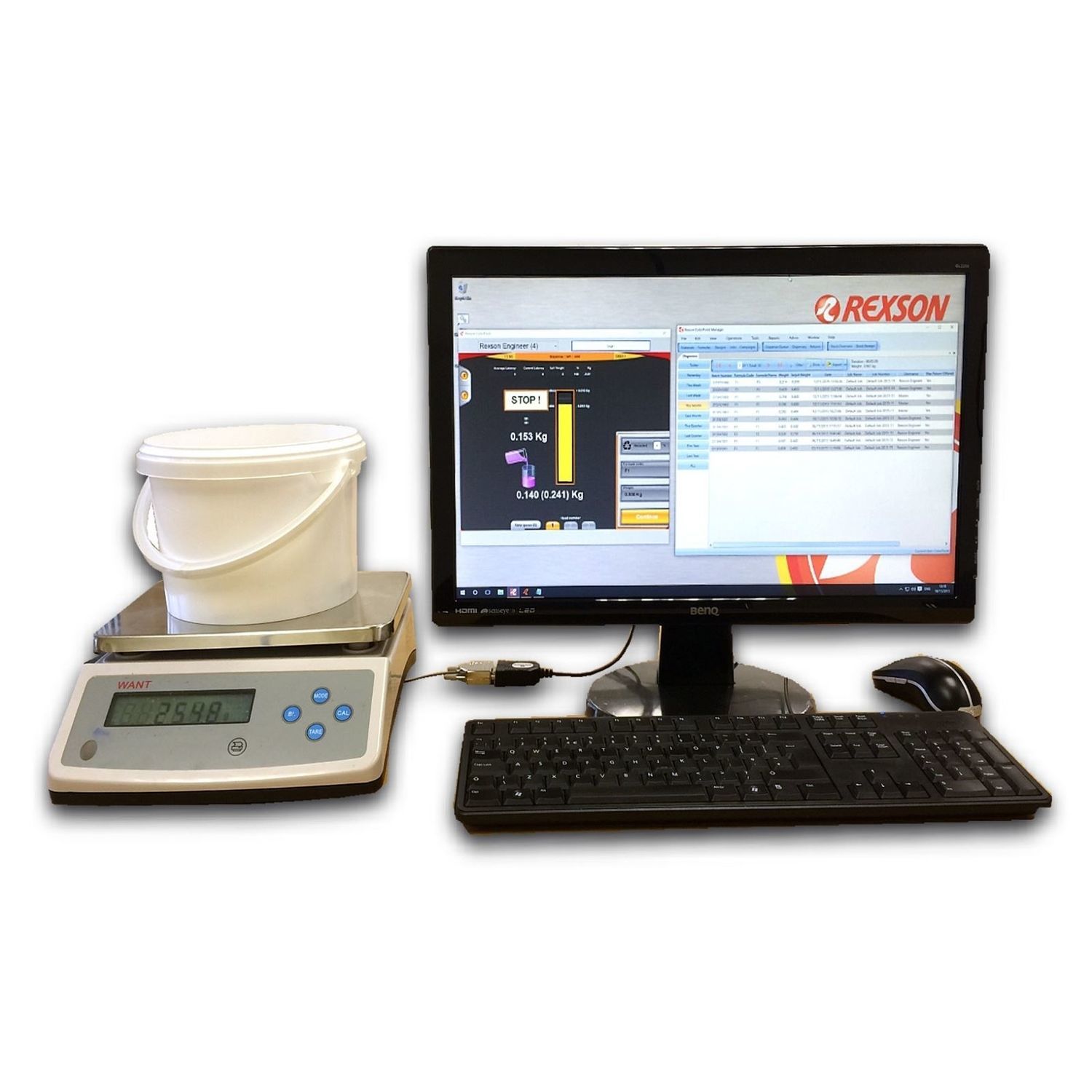 Management software - Rexson Systems - development / reporting / control