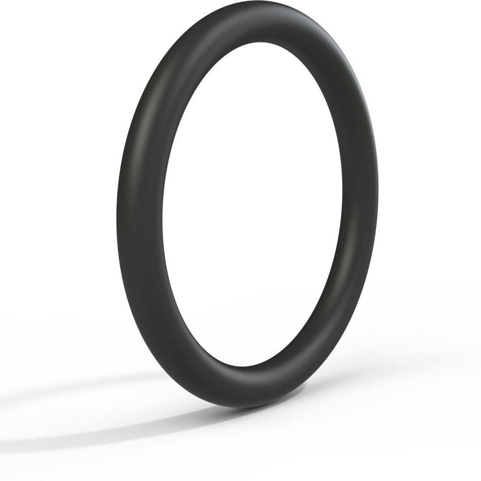 BS sealing ring - O-Rings - Hutchinson Precision Sealing Systems ...