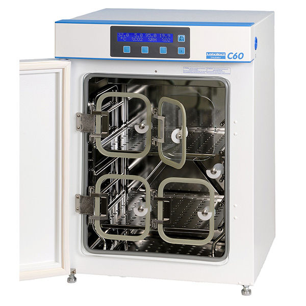 CO2 incubator - C60 - labotect - laboratory / natural convection