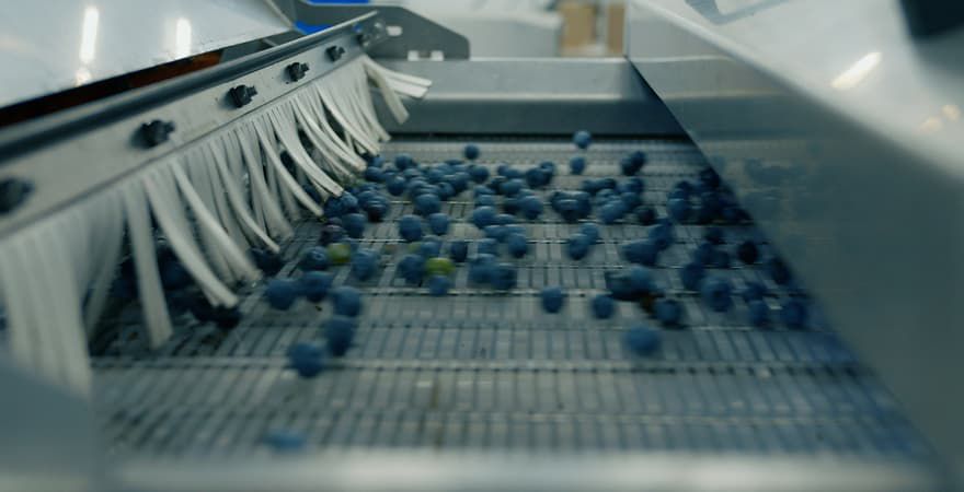 Sorting machine for the food industry - Neon - Tomra - optical ...