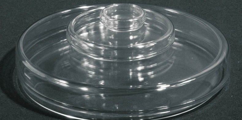 Glass Petri dish - Normax - Fábrica de Vidro Científico