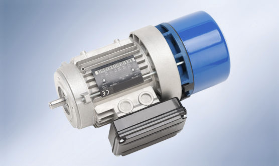 Asynchronous motor - Walther Flender - three-phase / 400 V / squirrel cage