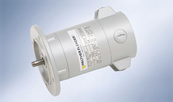 Synchronous motor - Walther Flender - three-phase / 24 V / 12 V