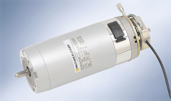 Asynchronous motor - Walther Flender - with special protection / 4-pole ...