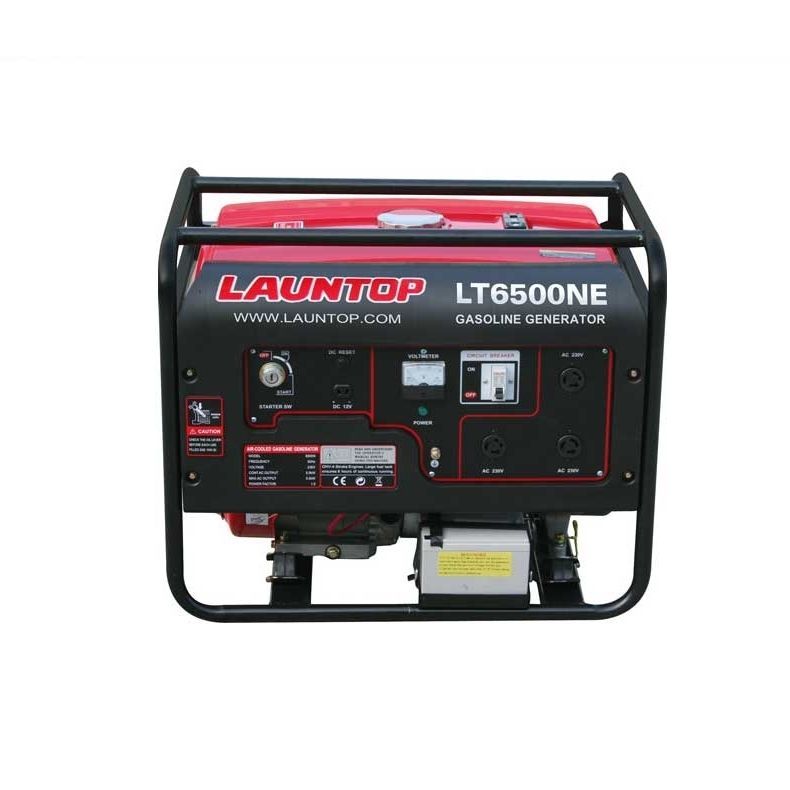 Diesel generator set - LT6500N - FUJIAN EVERSTRONG LEGA POWER ...