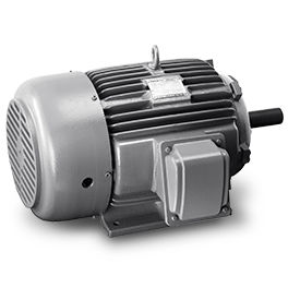 Induction motor - TECO ELECTRIC & MACHINERY Co., Ltd. - permanent ...