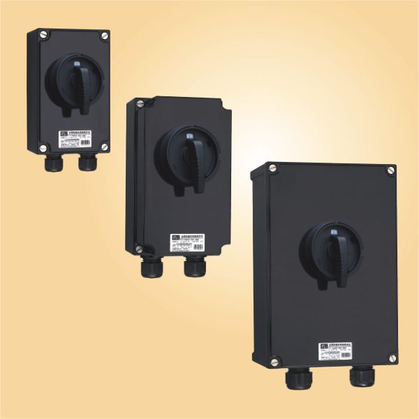 Rotary disconnect switch - CZ0534 - CZ Explosion-proof Electric ...