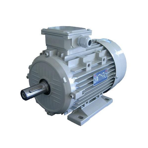 Cast iron frame motor - IE3 series - Hengsu Holdings Co,.Ltd ...