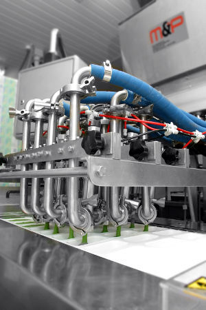 Multi-head depositor - M&P Engineering