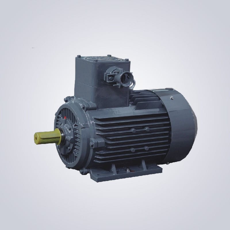 Explosion-proof motor - YBX5 Series H80~355 - Jiangsu Dazhong Electric ...