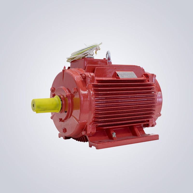 High temperature-resistant motor - YE2G - Jiangsu Dazhong Electric ...