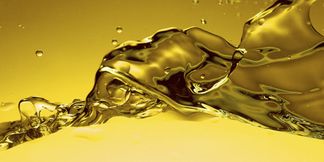 Lubricating oil - CONDAT - synthetic / mineral oil-based / plant-based