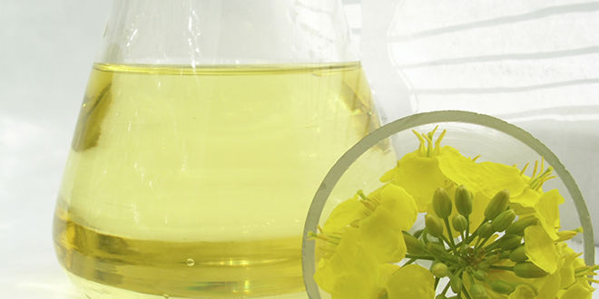 Lubricating oil - CONDAT - for stainless steel / for the automotive ...