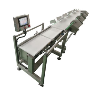 Process sorting machine - DHWS400*150-4 - Zhuhai dahang intelligent ...