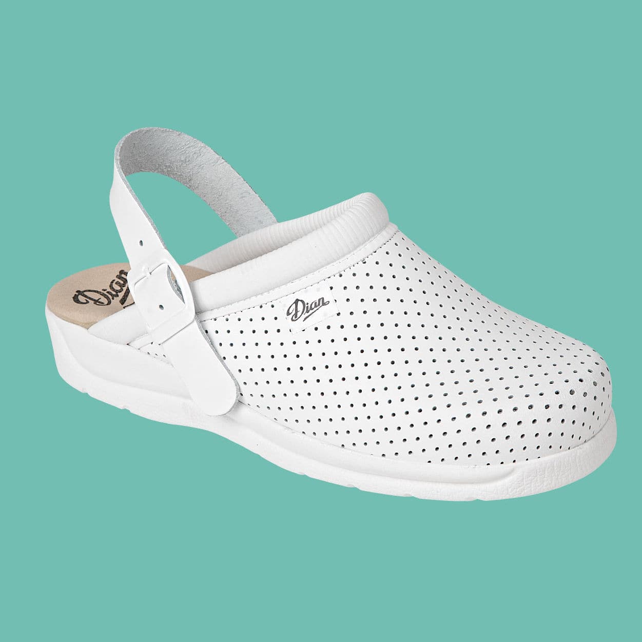 Laboratory clog - PISA CORREA - Division Anatomicos S.L. - anti-slip ...