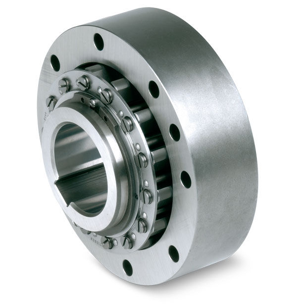 Bearing backstop - RSCI 20-130 series - STIEBER - overrunning clutch