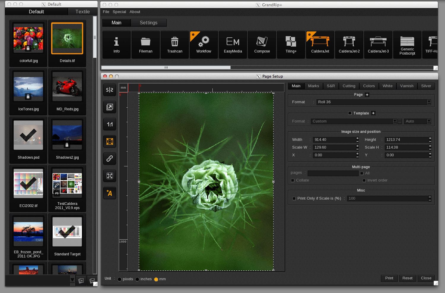 Management software - GrandRIP+ - CALDERA - printing