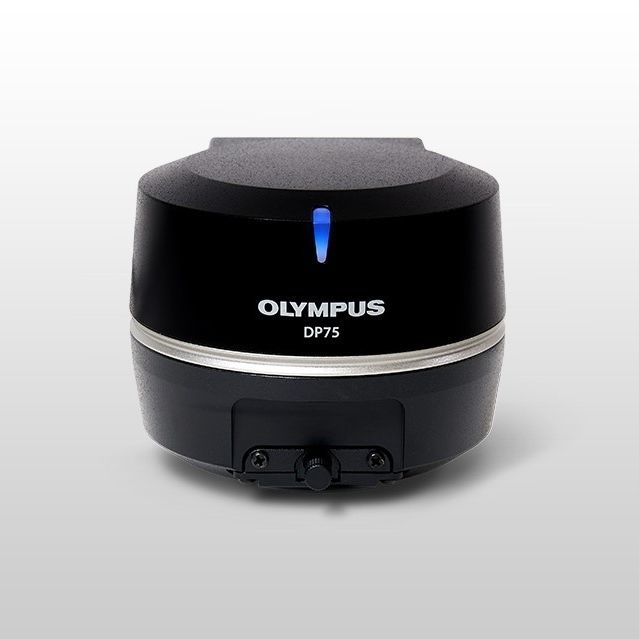 Microscope camera - DP75 - Evident - Olympus Scientific Solutions ...