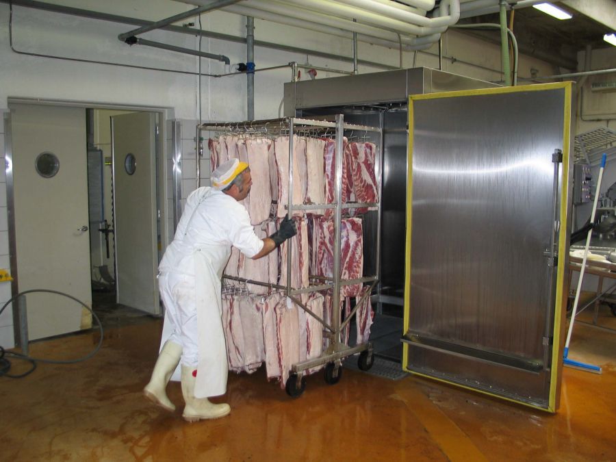 Fish smoking chamber - SPEEDSMOKE - Protech AB - for poultry / for sausages