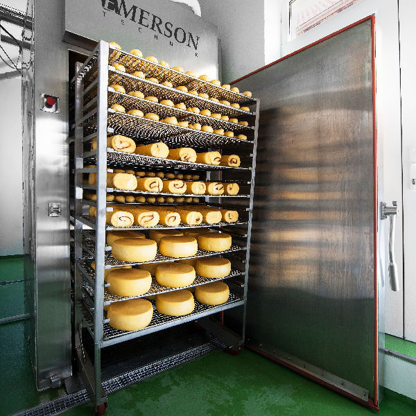Cheese smoking chamber - Emerson Technik SRL - cold / for maturation