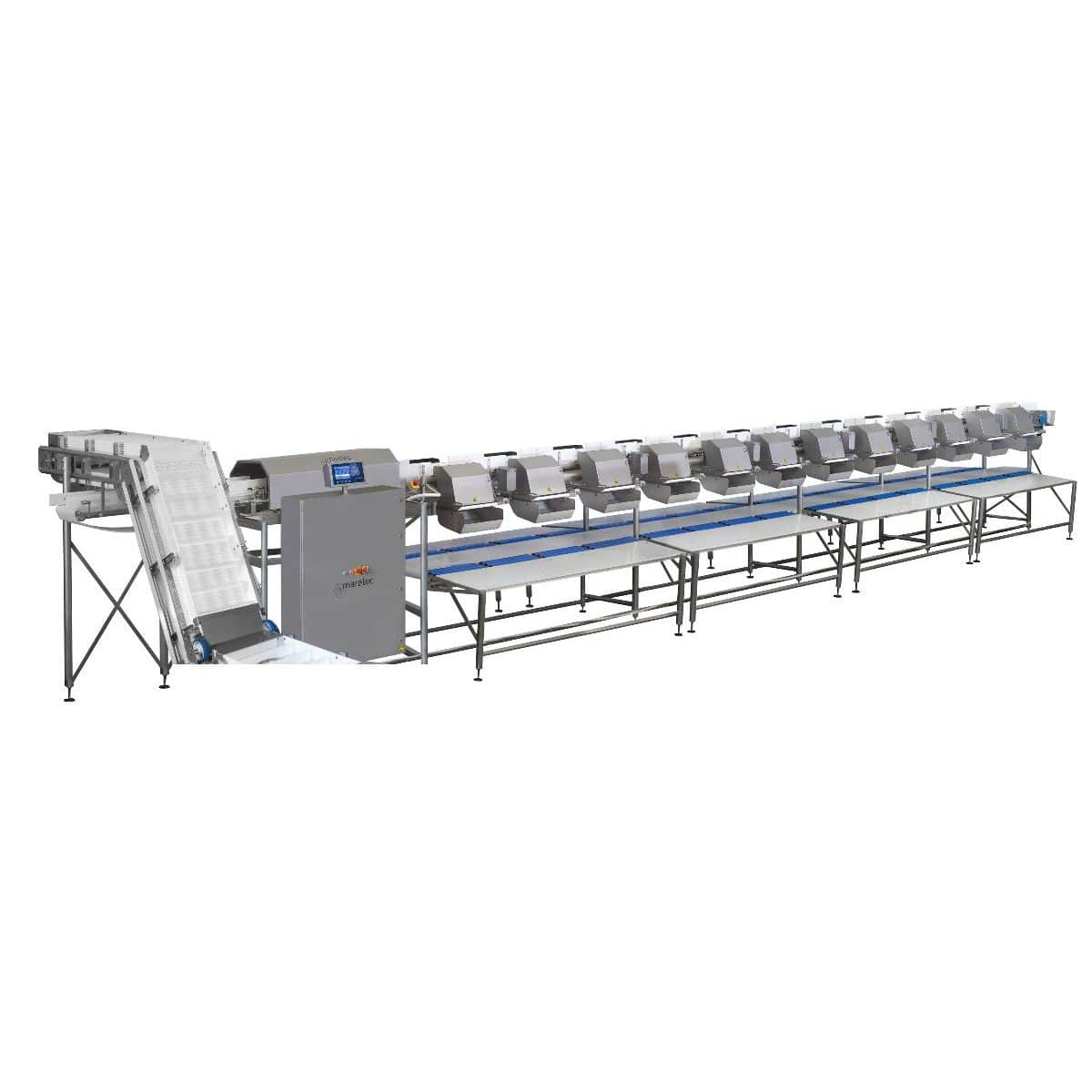 Fish grading machine - MC Marine - MARELEC Food Technologies BVBA - for ...