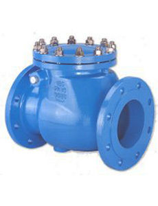 Swing check valve - k05a-500-505 - ACMO S.p.A. - for water / DIN / flange