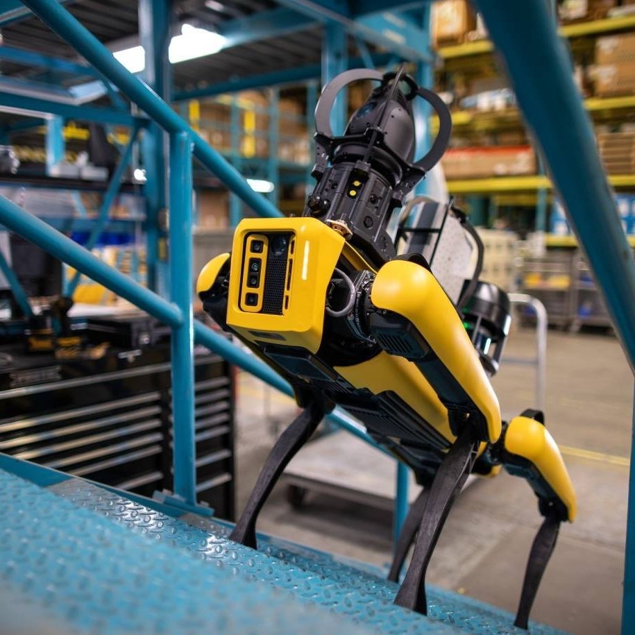 Four-legged inspection robot - Spot® - Boston Dynamics - remote ...