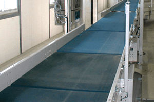Belt conveyor - DAIFUKU - feeding